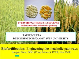 Biofortification | PPT