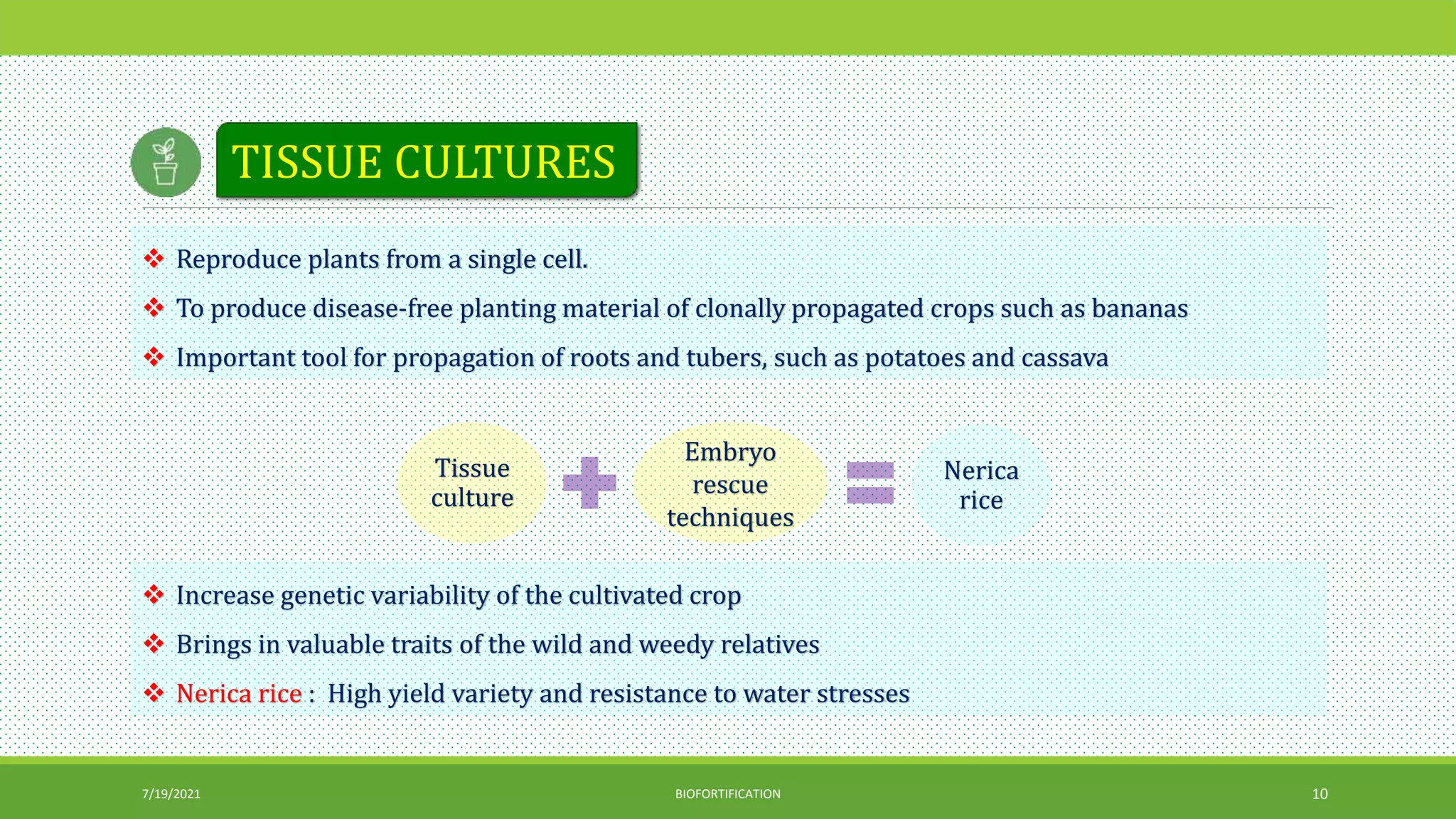 Biofortification | PPTX