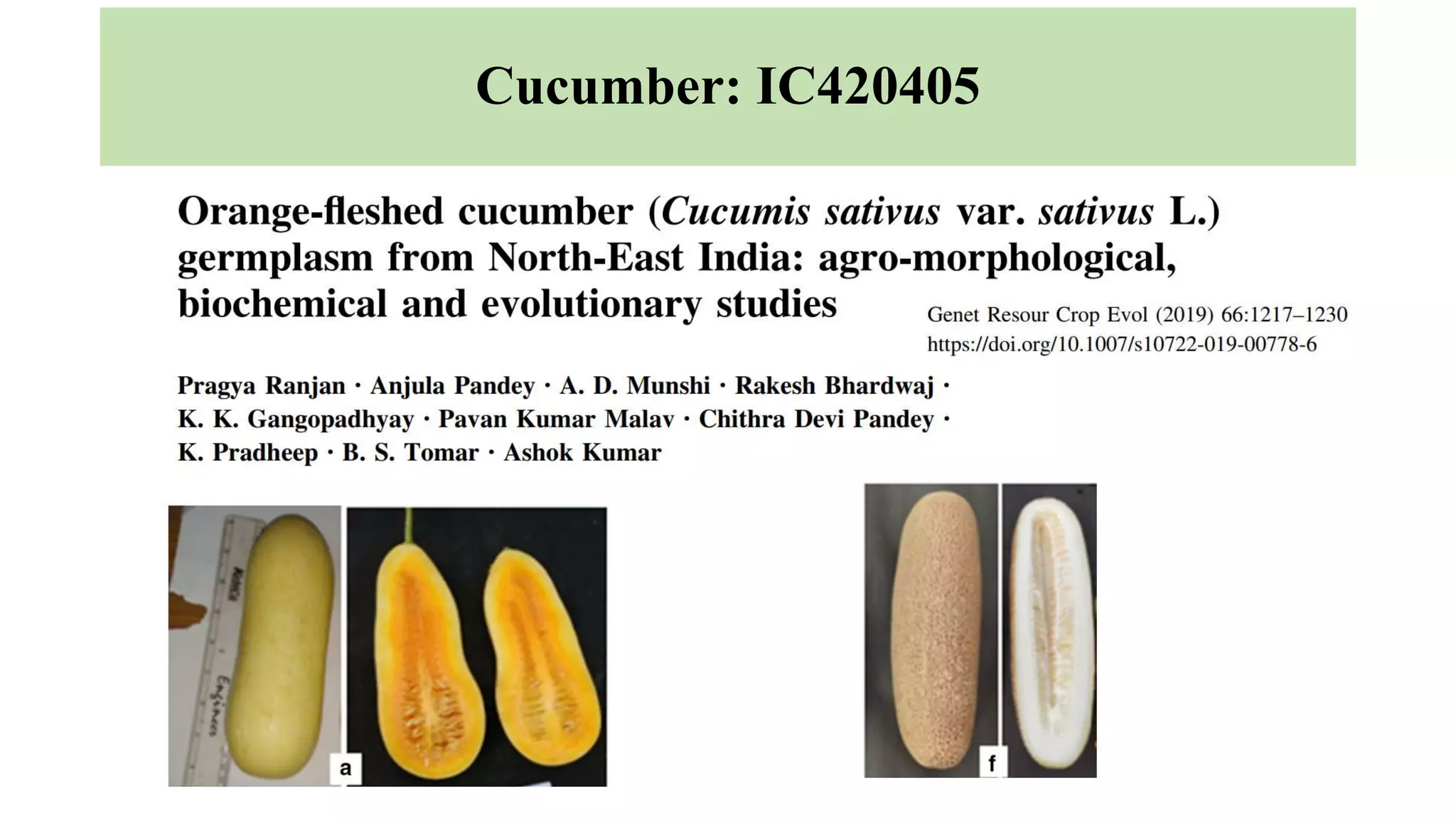 BIOFORTIFICATION OF VEGETABLE CROPS.pptx