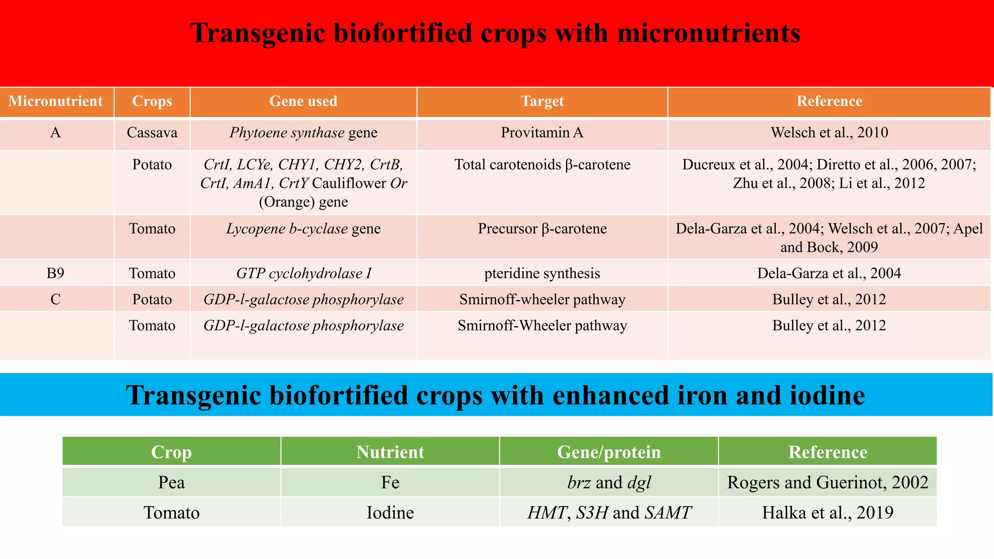 BIOFORTIFICATION OF VEGETABLE CROPS.pptx