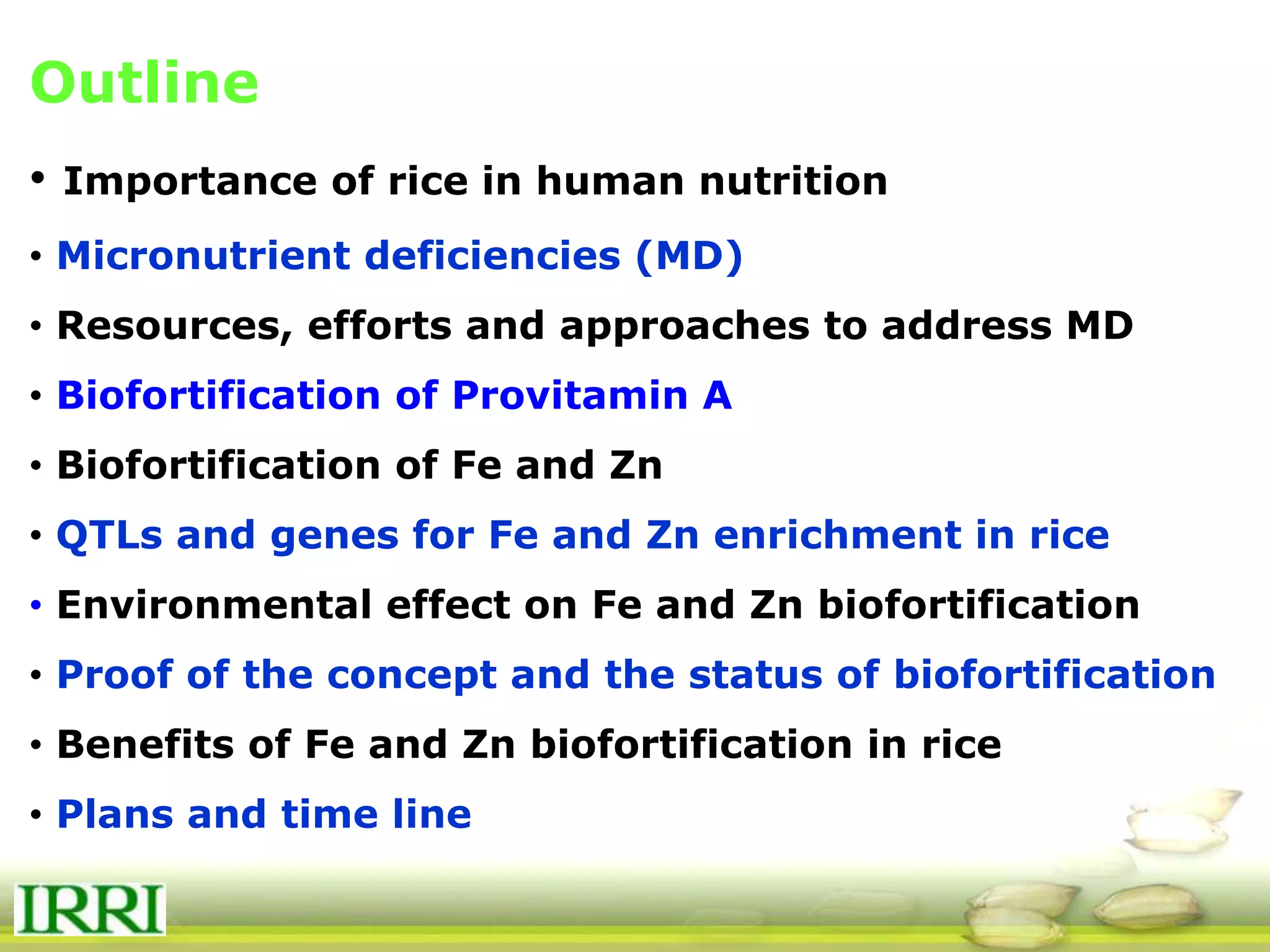 Biofortification of rice - swamy | PPT