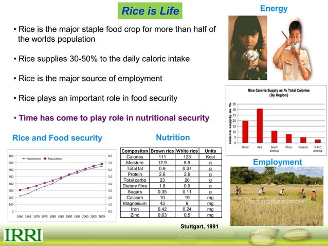 Biofortification of rice - swamy | PPT