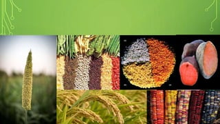 Biofortification and biofortified foods.pptx