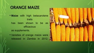 Biofortification and biofortified foods.pptx