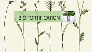 Biofortification and biofortified foods.pptx