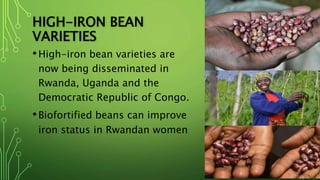 Biofortification and biofortified foods.pptx