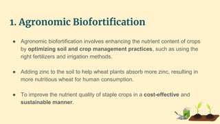 Biofortification and its Approaches.pptx