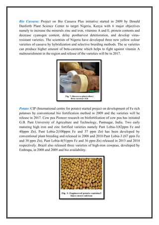 Biofortification by Y. Pooja | PDF