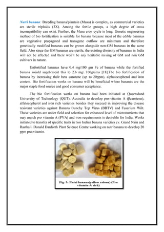 Biofortification by Y. Pooja | PDF