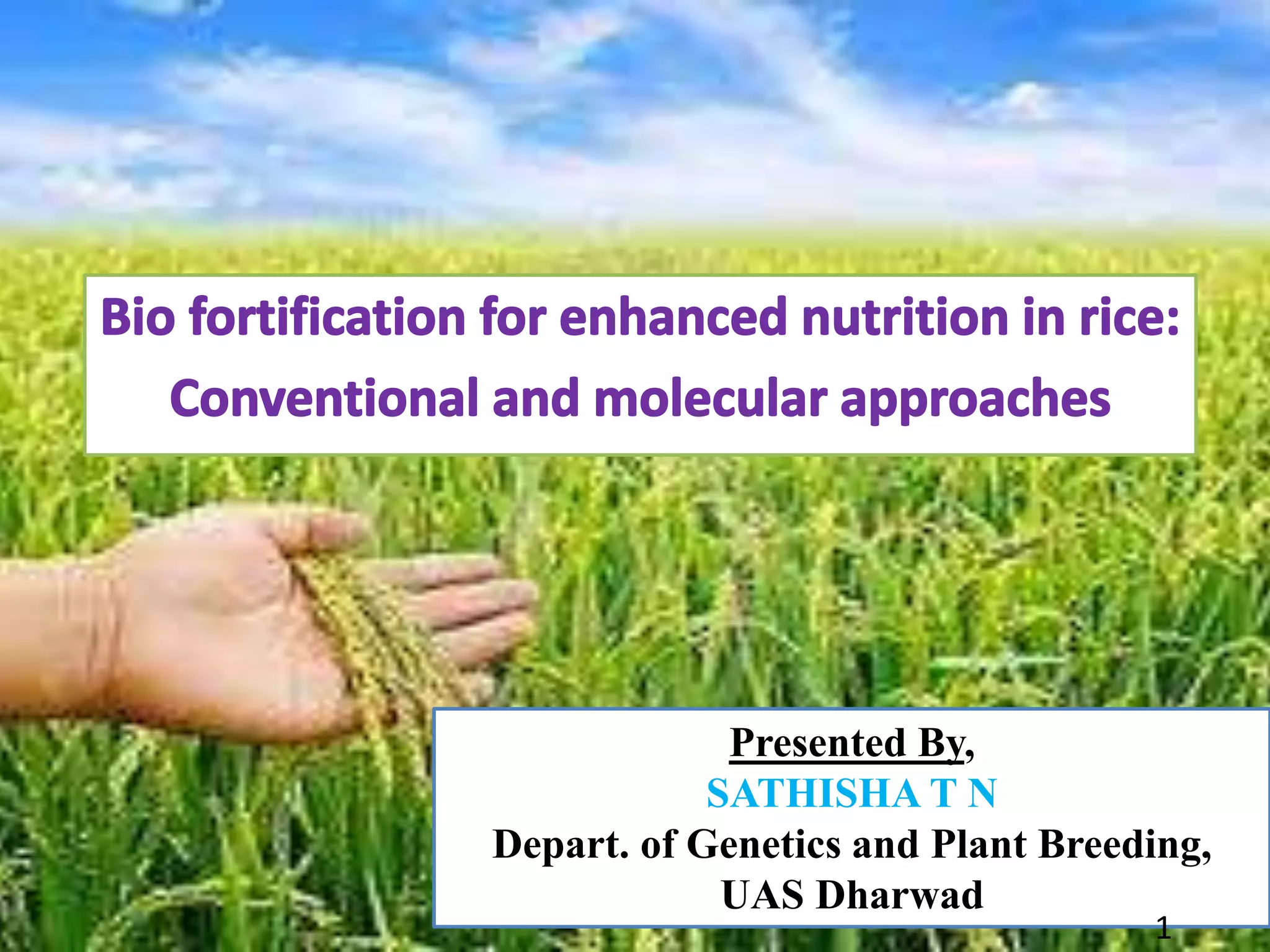 Bio fortification for Enhanced Nutrition in Rice by Conventional and ...