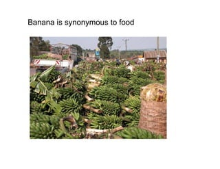 B4FA 2012 Uganda: Biofortification of highland bananas in Uganda ...