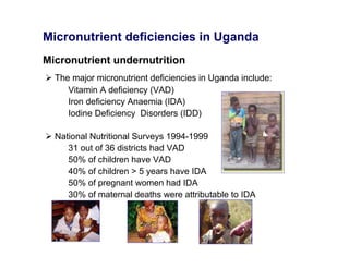 B4FA 2012 Uganda: Biofortification of highland bananas in Uganda ...