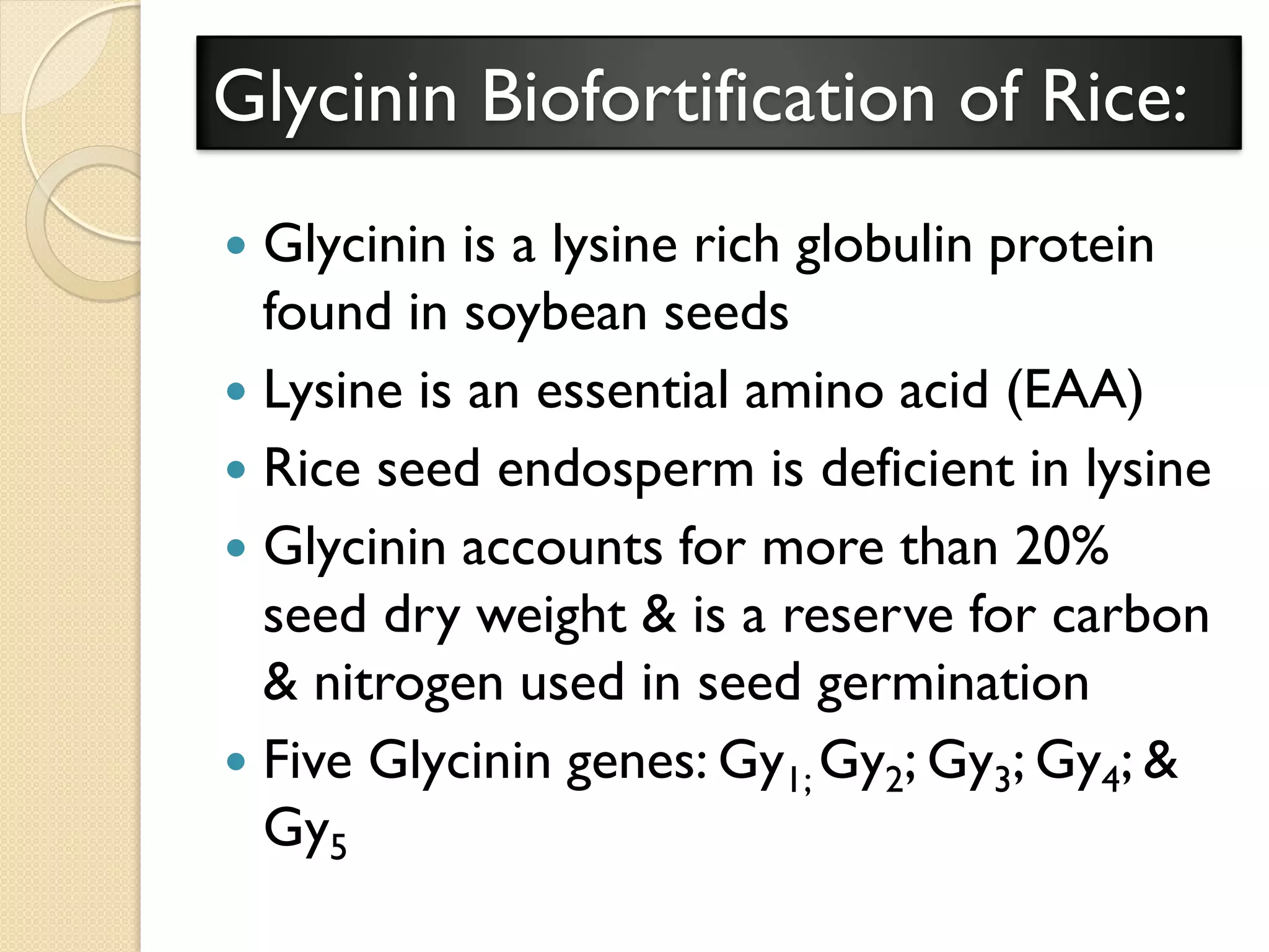 Biofortification of rice | PDF