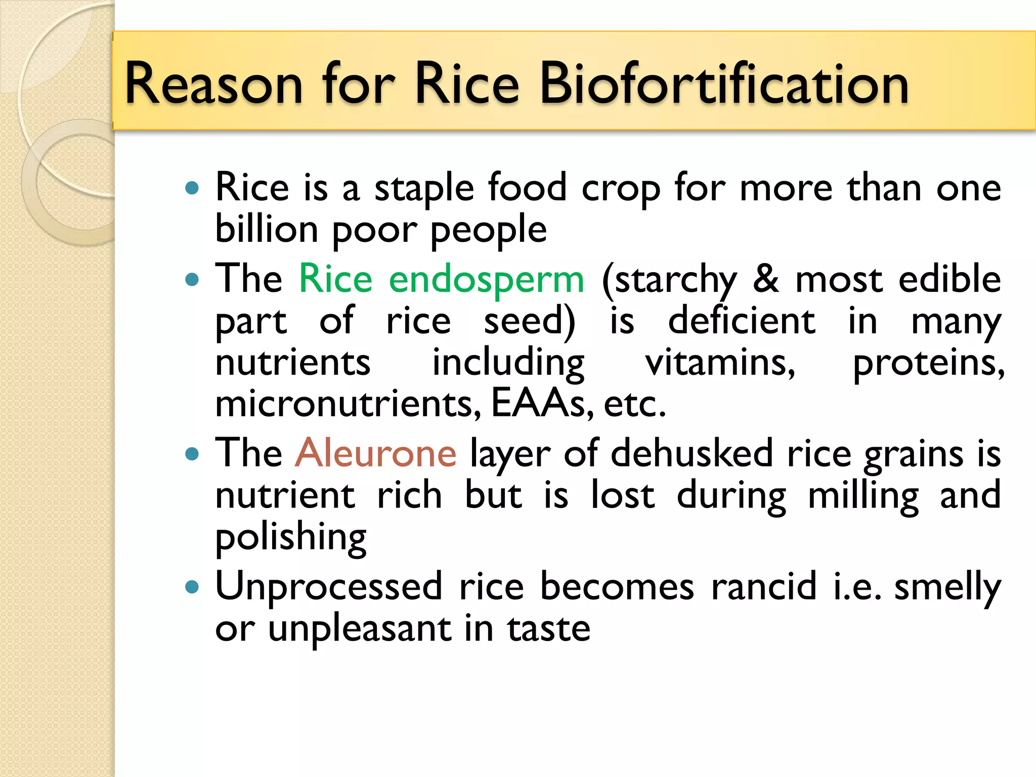 Biofortification of rice | PDF