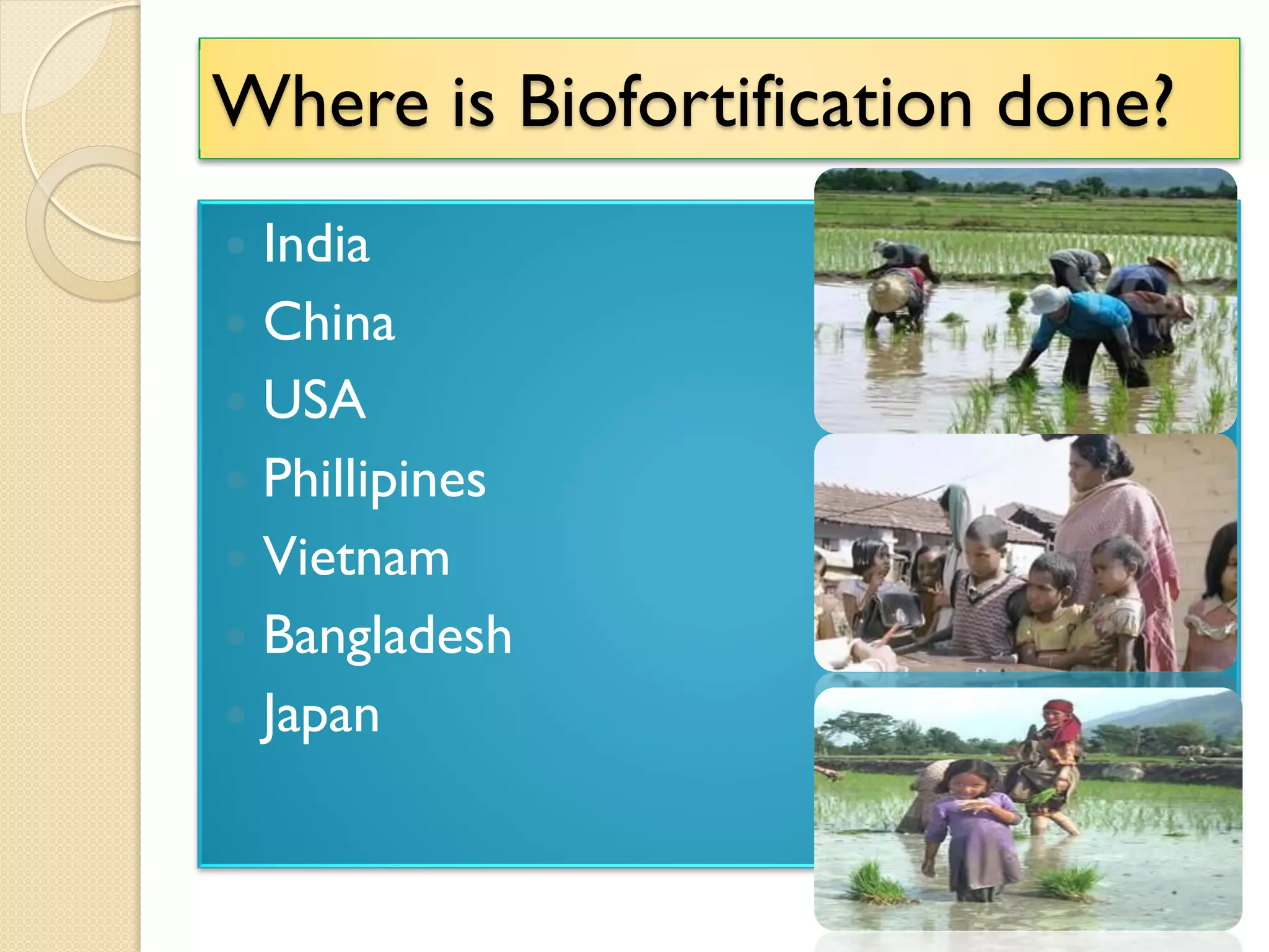 Biofortification of rice | PDF