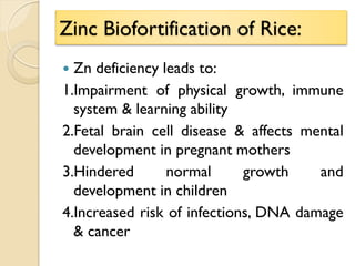 Biofortification of rice | PDF