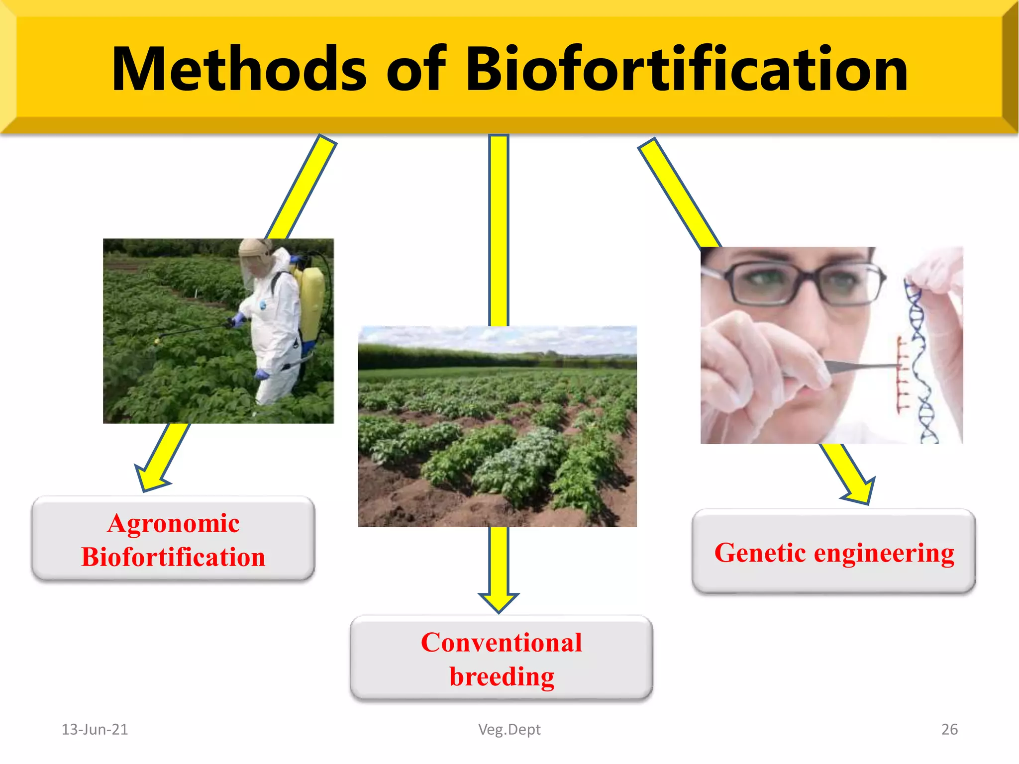Biofortification of vegetable crops | PDF