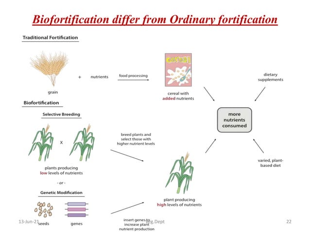 Biofortification of vegetable crops | PDF | Agriculture | Industries