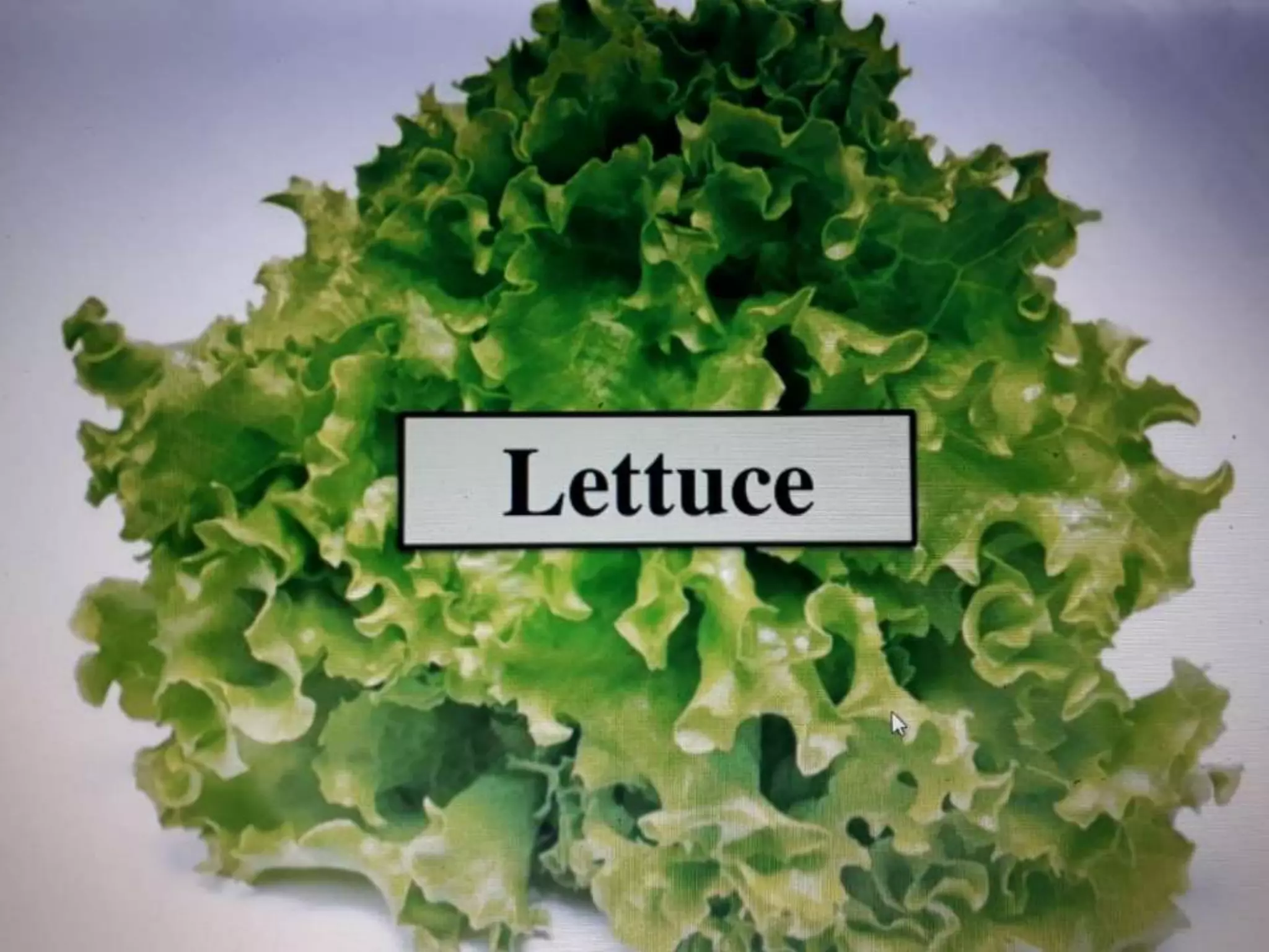 Biofortified vegetables | PPTX