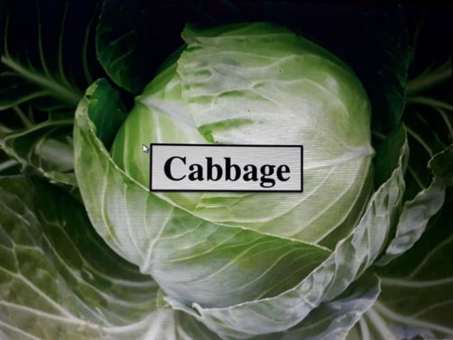 Biofortified vegetables | PPTX | Agriculture | Industries