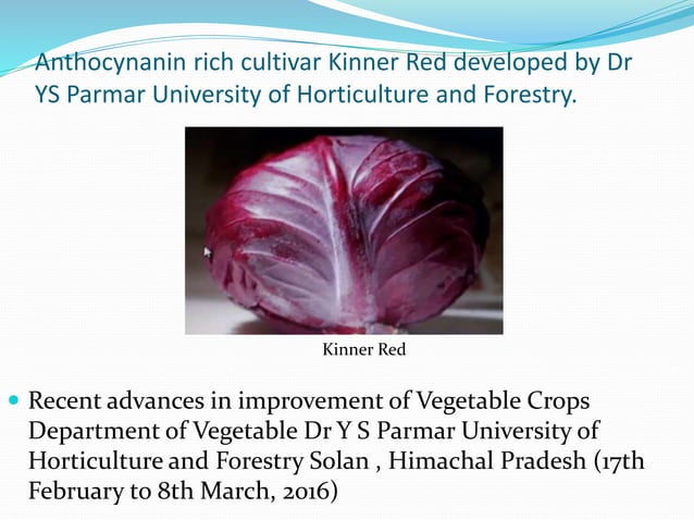 Biofortified vegetables | PPTX | Agriculture | Industries