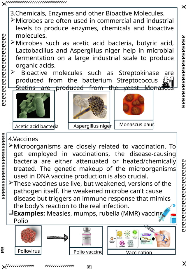 Microbes in Human Welfare Class 12 Investigatory project | PPTX ...