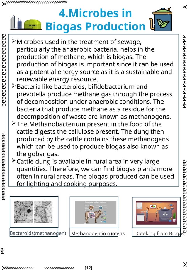 Microbes in Human Welfare Class 12 Investigatory project | PPTX ...