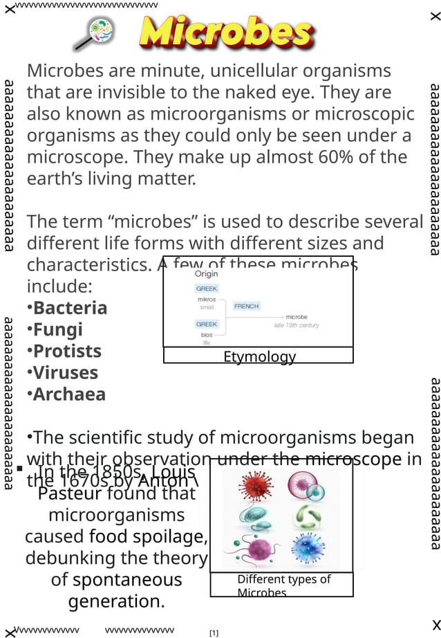 Microbes in Human Welfare Class 12 Investigatory project | PPTX ...