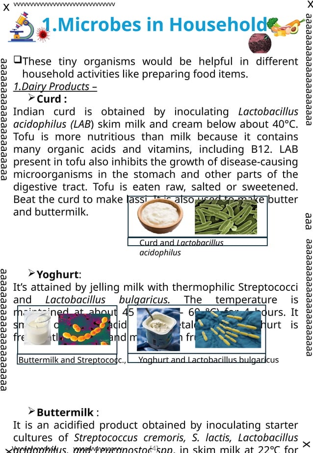 Microbes in Human Welfare Class 12 Investigatory project | PPTX ...
