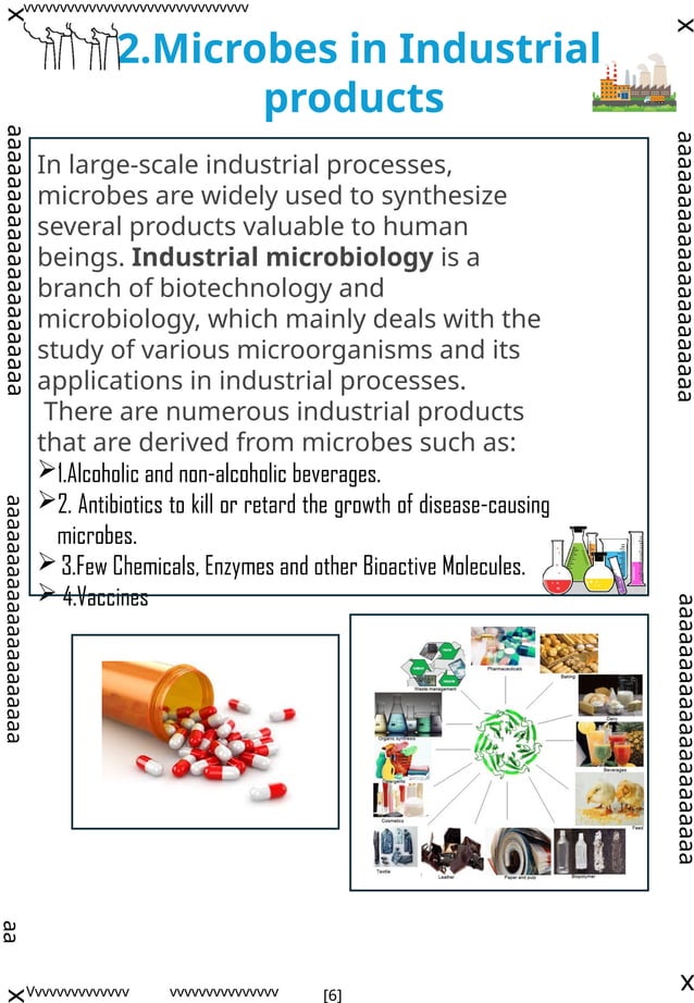Microbes in Human Welfare Class 12 Investigatory project | PPTX ...