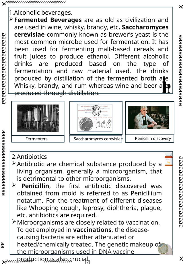 Microbes in Human Welfare Class 12 Investigatory project | PPTX ...
