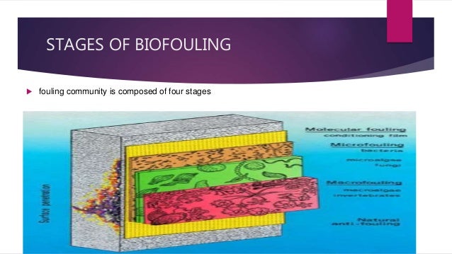 Biofouling
