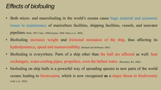 Biofouling | PDF