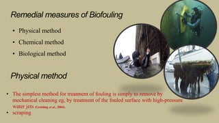 Biofouling | PDF