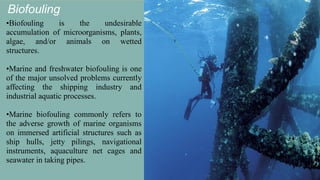 Biofouling | PDF