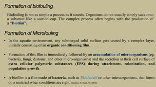 Biofouling | PDF