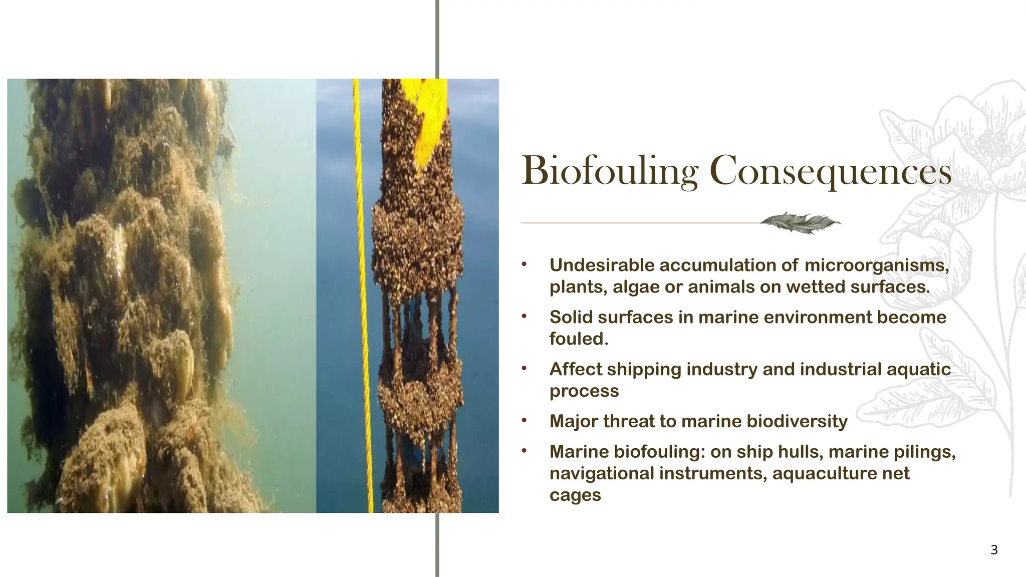 Biofouling (Steps and Consequences).pptx