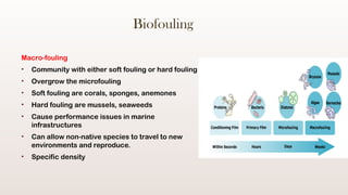 Biofouling (Steps and Consequences).pptx