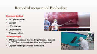 Biofouling (Steps and Consequences).pptx