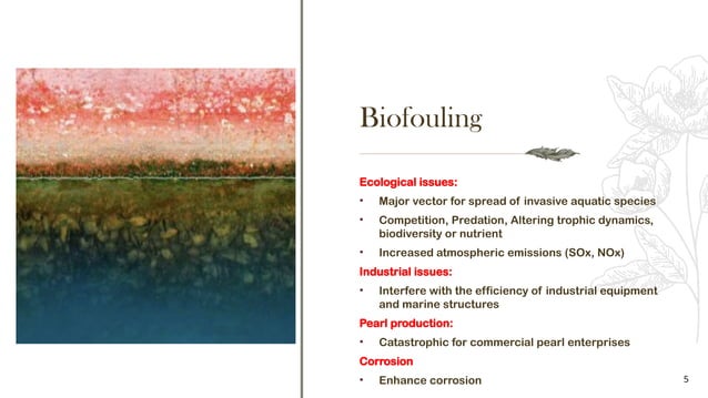 Biofouling (Steps and Consequences).pptx