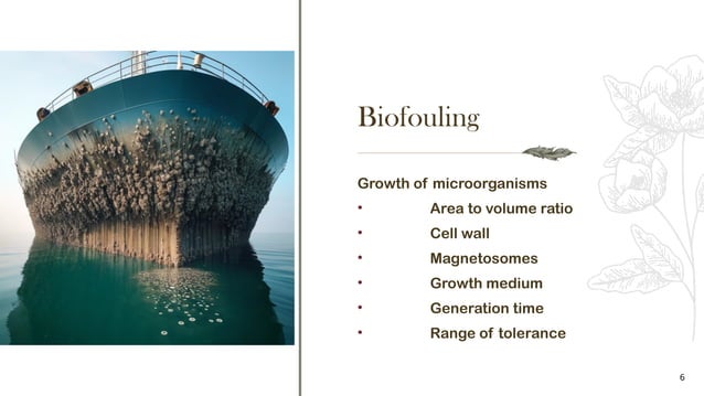 Biofouling (Steps and Consequences).pptx