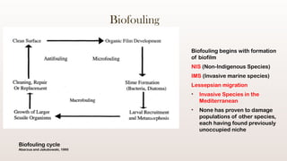 Biofouling (Steps and Consequences).pptx