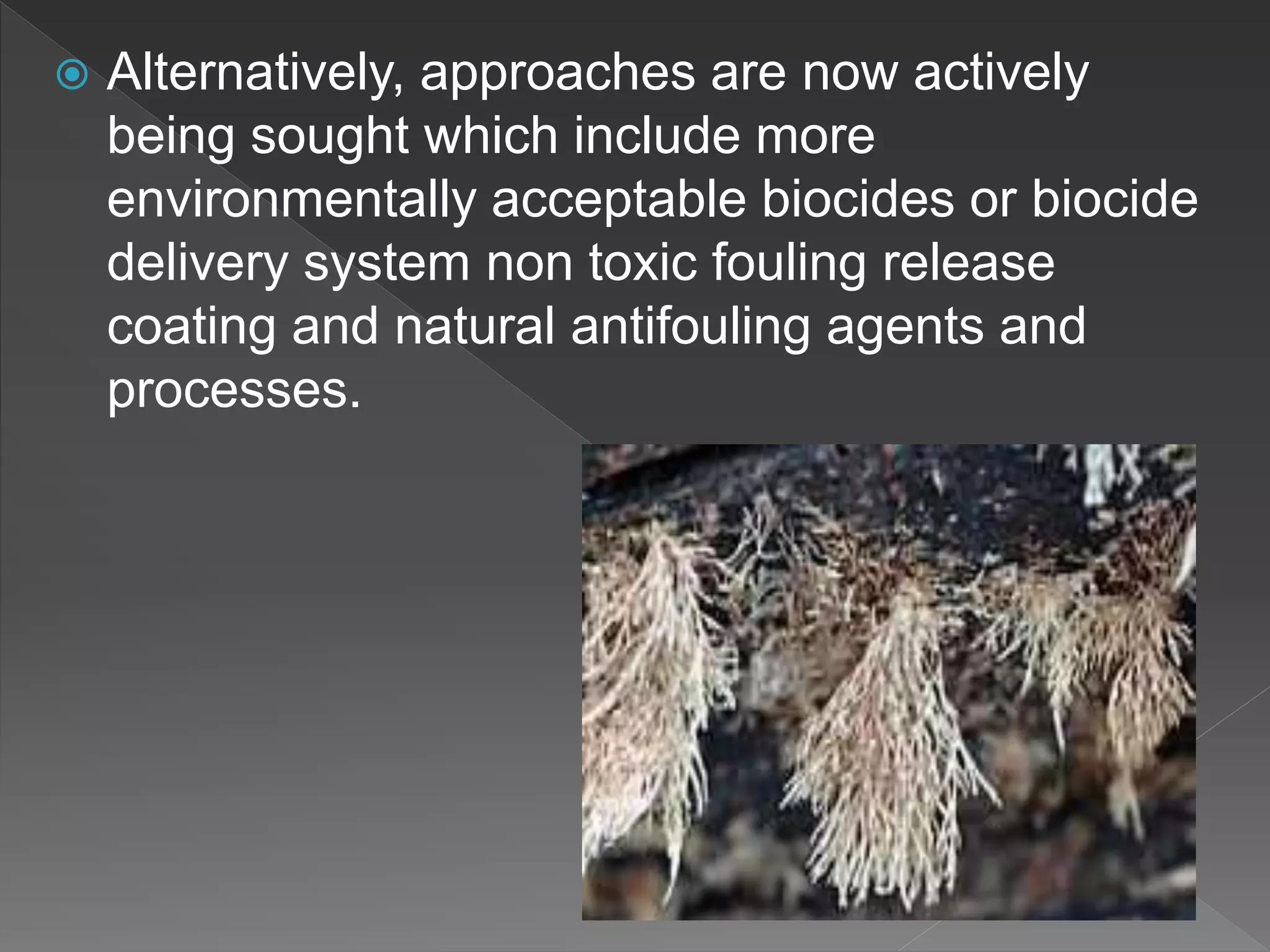 Biofouling and prevention | PPTX