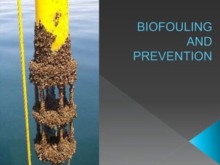 Biofouling and prevention | PPTX