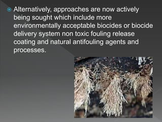 Biofouling and prevention | PPTX
