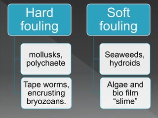 Biofouling and prevention | PPTX