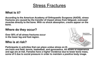 Chapter 4 Fractures | PPT