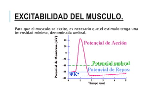Biofísica muscular | PPTX