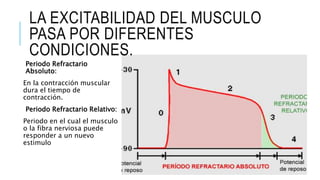 Biofísica muscular | PPTX