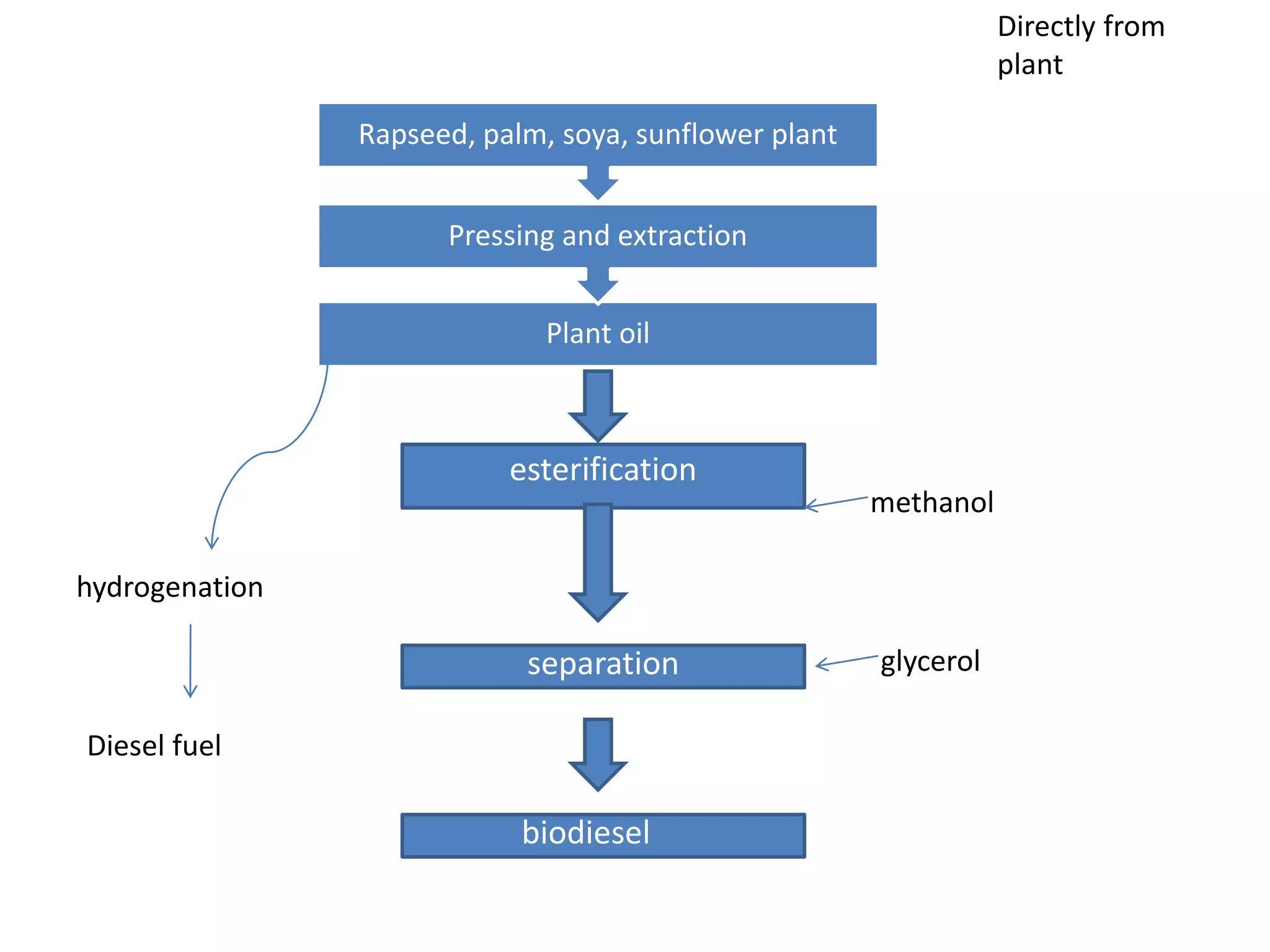 Biofuel as source of clean and green energy | PPTX